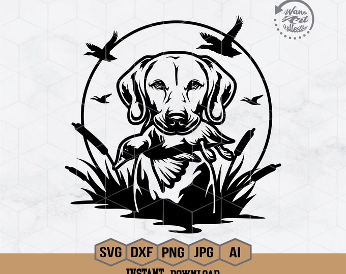Duck Hunting Svg | Labrador Svg | Hunting Dog Svg | Duck Dog Svg | Duck ...