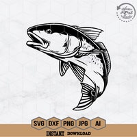 Snook Fish Vector Art: Graphic Image (digital Download) - Etsy