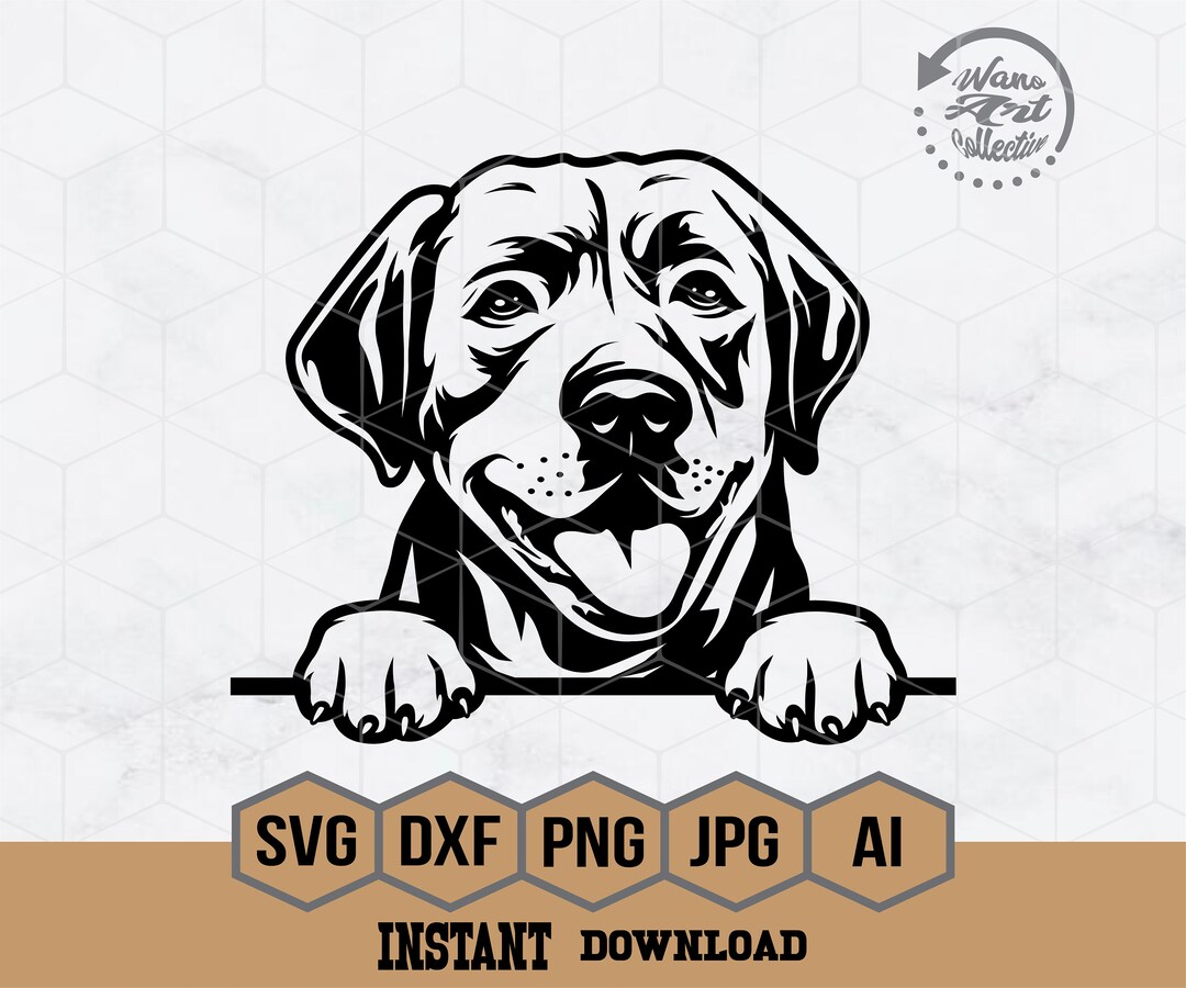 Labrador Retriever Svg | Labrador Svg | Man's Bestfriend Svg | Doggo ...
