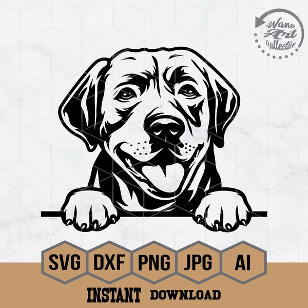 Peeking Lab Svg - Etsy