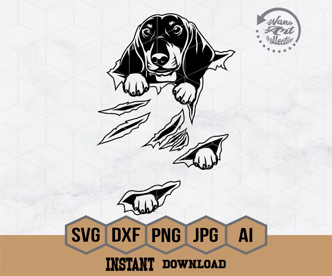 Dachshund Svg, Dachshund Peeking Svg, Dog Scratch Svg, Dachshund ...