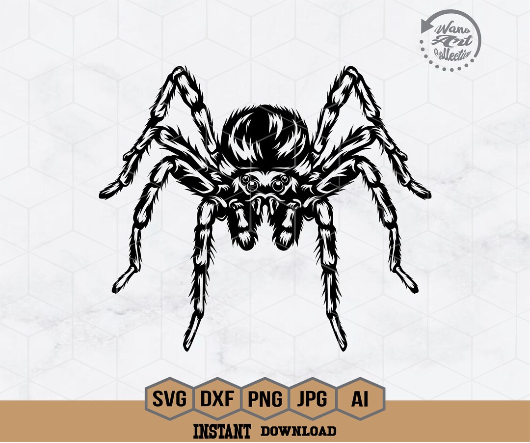 Spider Svg | Arachnids Svg | Tarantula Svg | Spider Web Cut File ...