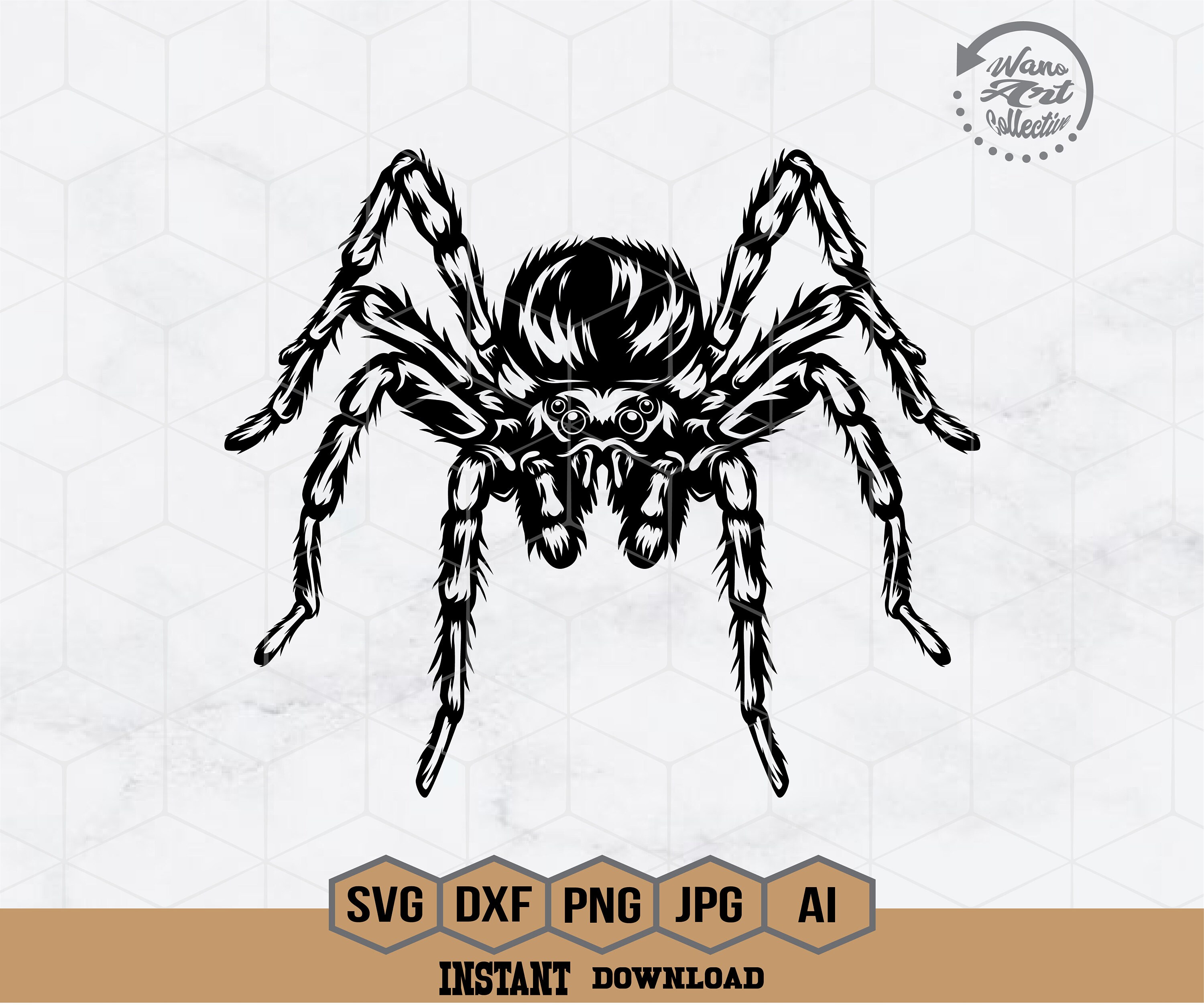Spider Svg Arachnids Svg Tarantula Svg Spider Web Cut File Spider T ...