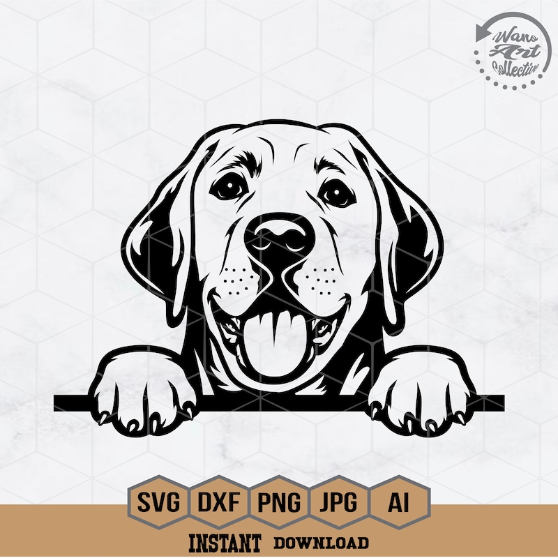 Peeking Lab Svg - Etsy