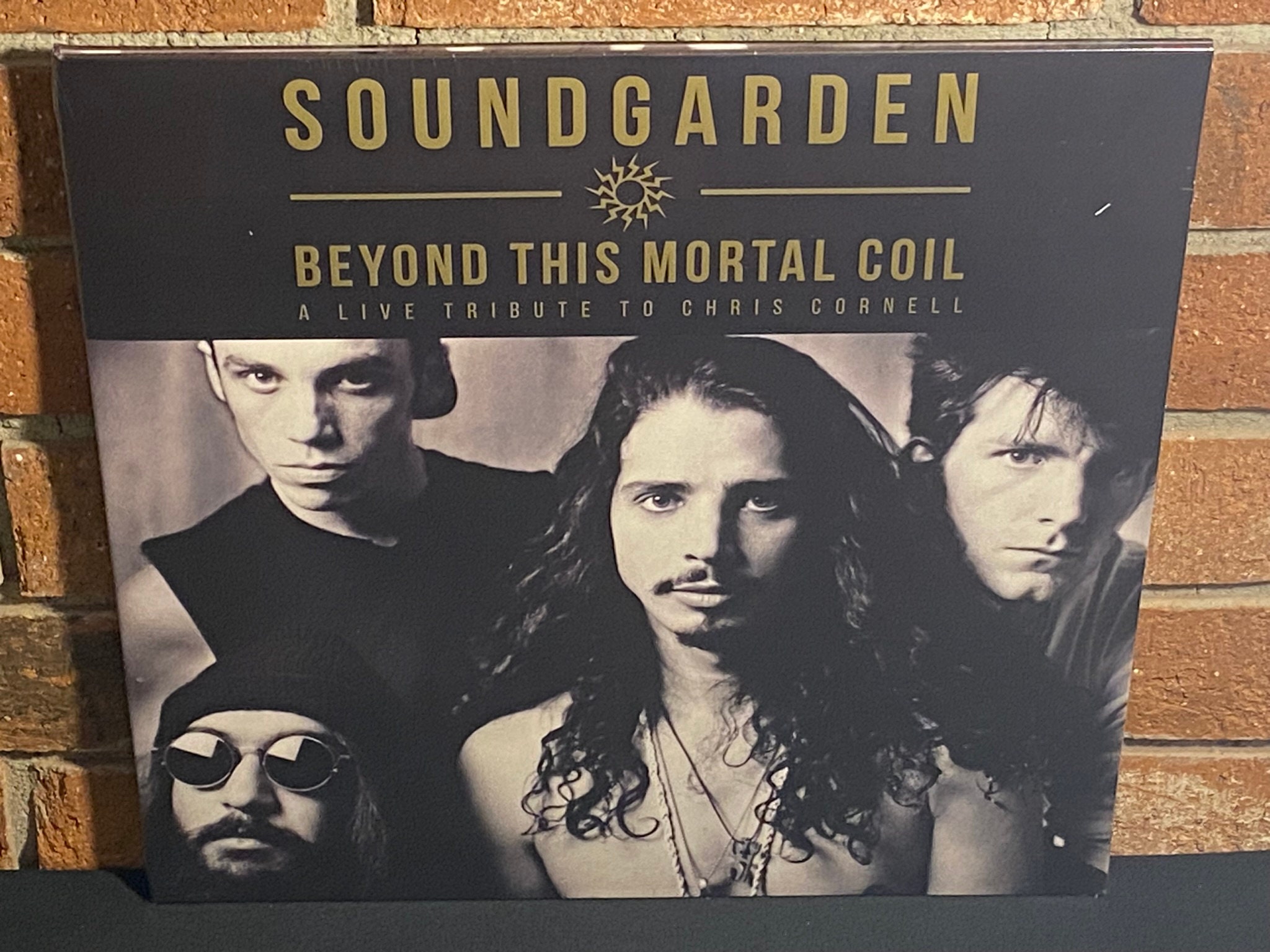 Soundgarden Album Covers