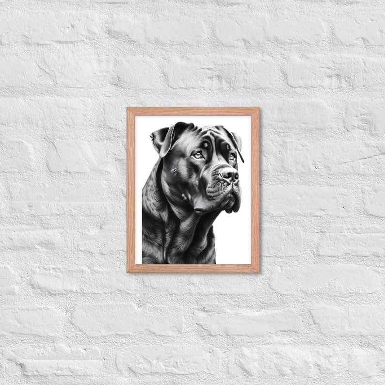 Dessin au crayon réaliste d'un chien Cane Corso - Etsy France
