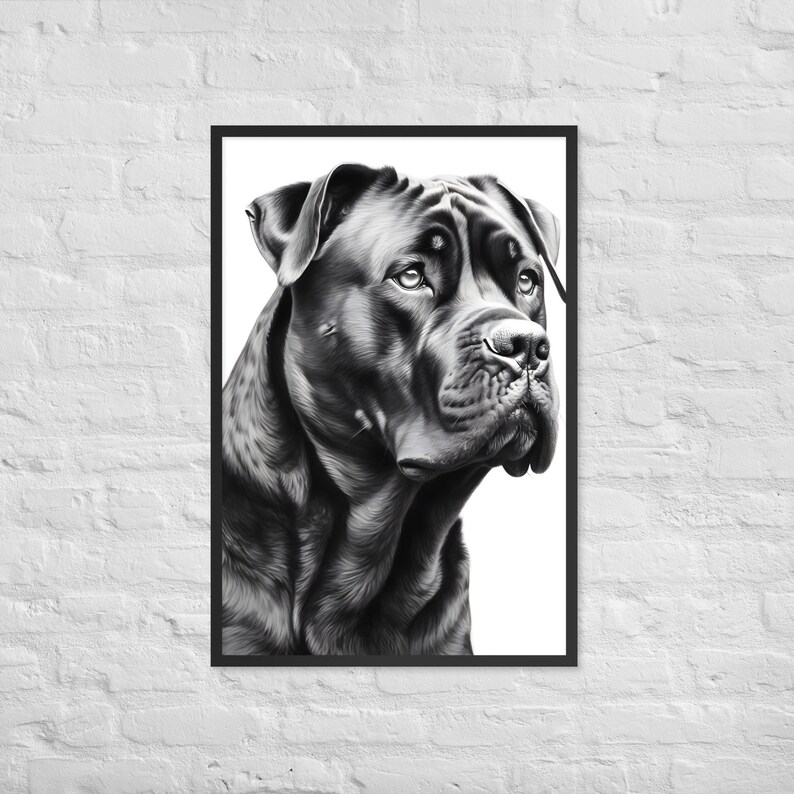Realistic Pencil Drawing of a Cane Corso Dog - Etsy
