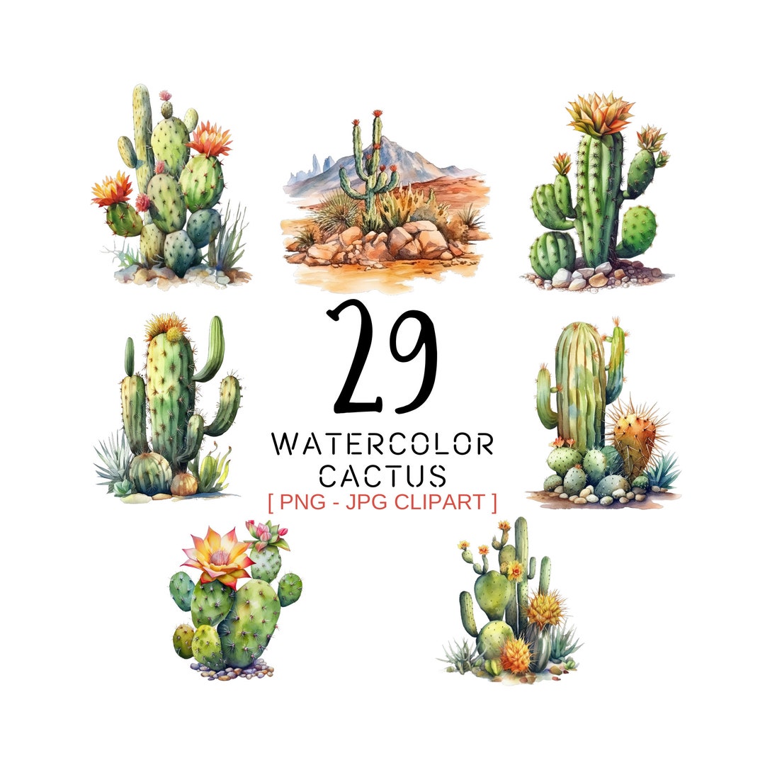 Watercolor Cactus Clipart, Mexican Cactus, Cactus PNG, Digital Download ...
