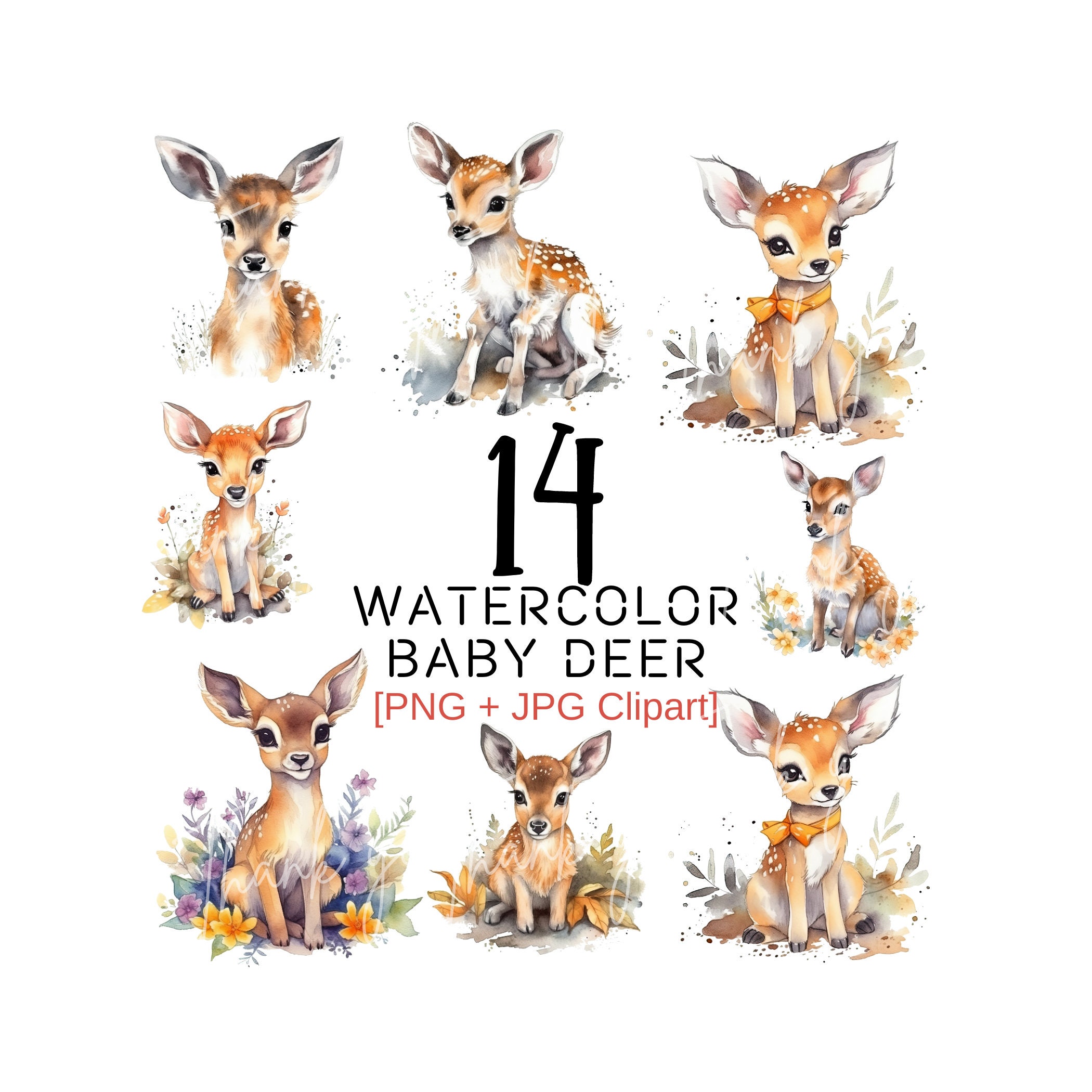 Watercolor Baby Deer Clipart Bundle Digital Download, 14 High Quality ...