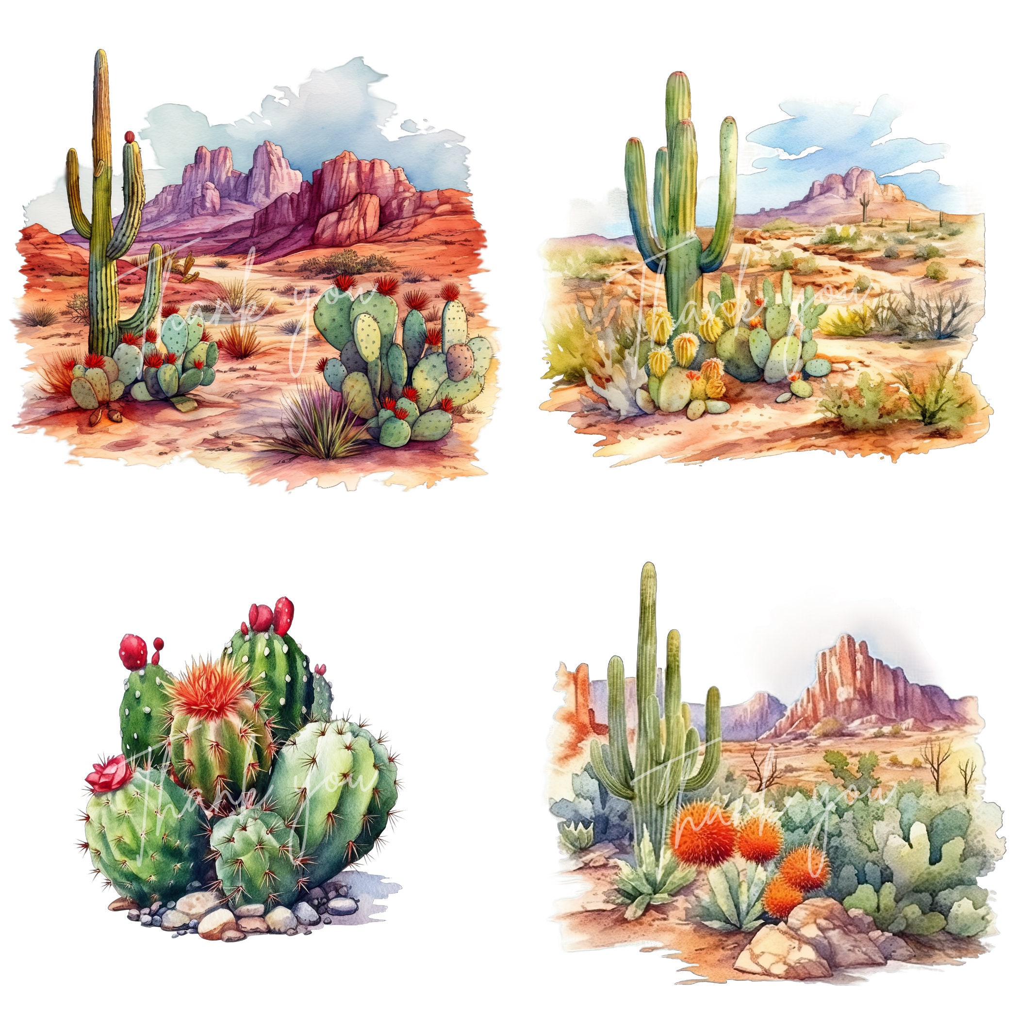 Watercolor Cactus Clipart, Mexican Cactus, Cactus PNG, Digital Download ...
