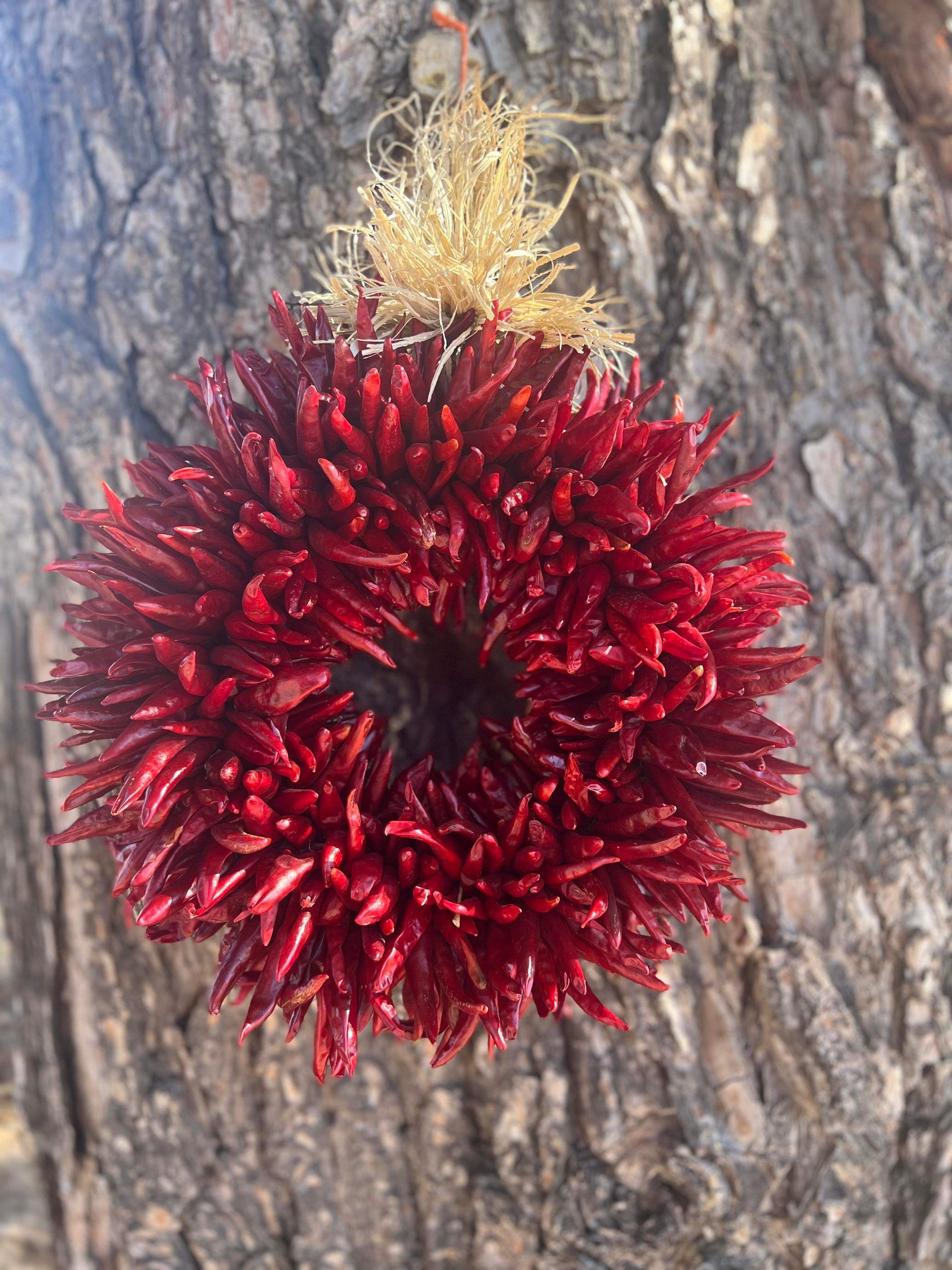 Hatch New Mexico Medium Wreath Ristra - Etsy