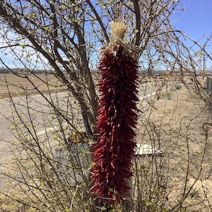 Hatch New Mexico Long Ristra - Etsy