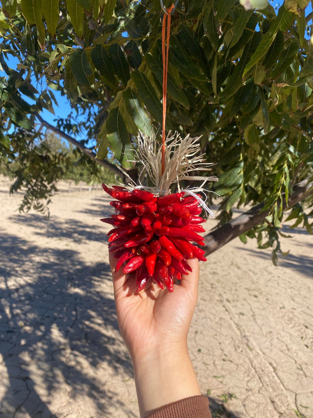 Mini Ristra's Bundle - Etsy