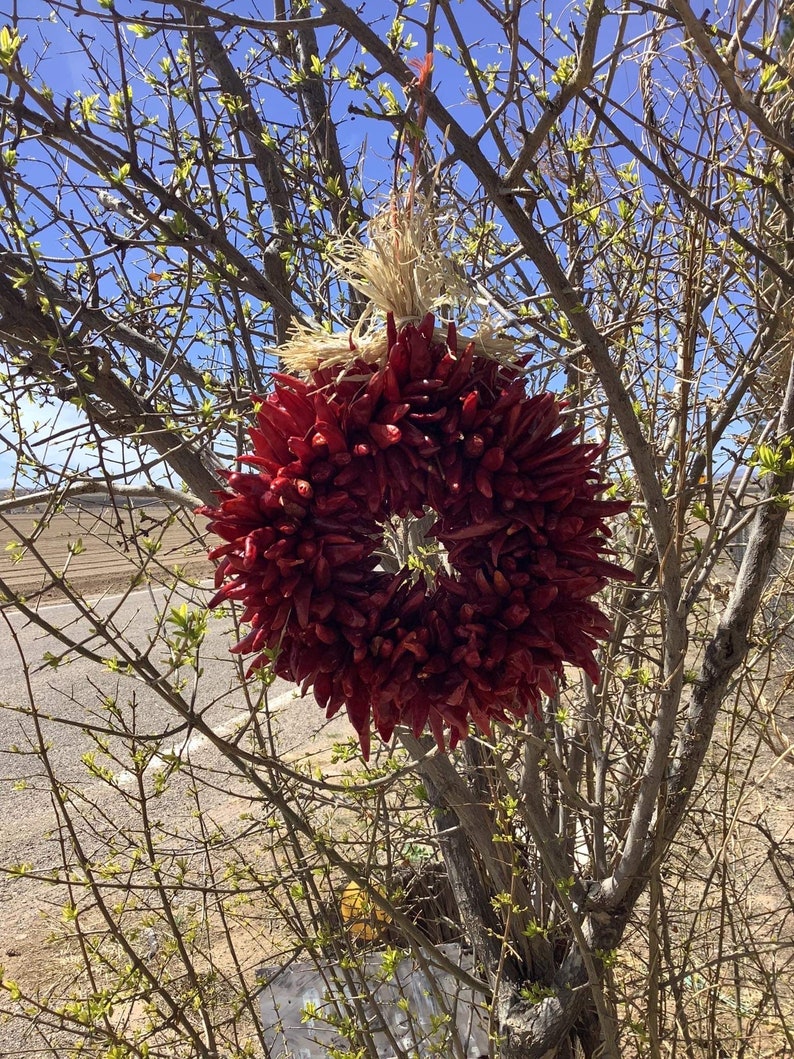 Hatch New Mexico Medium Wreath Ristra - Etsy