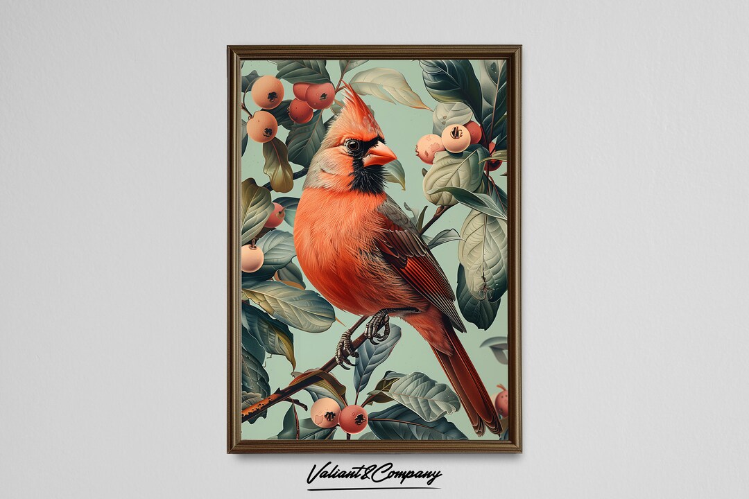 Red Cardinal Art Print | Antique Print | Vintage Country Wall Art ...