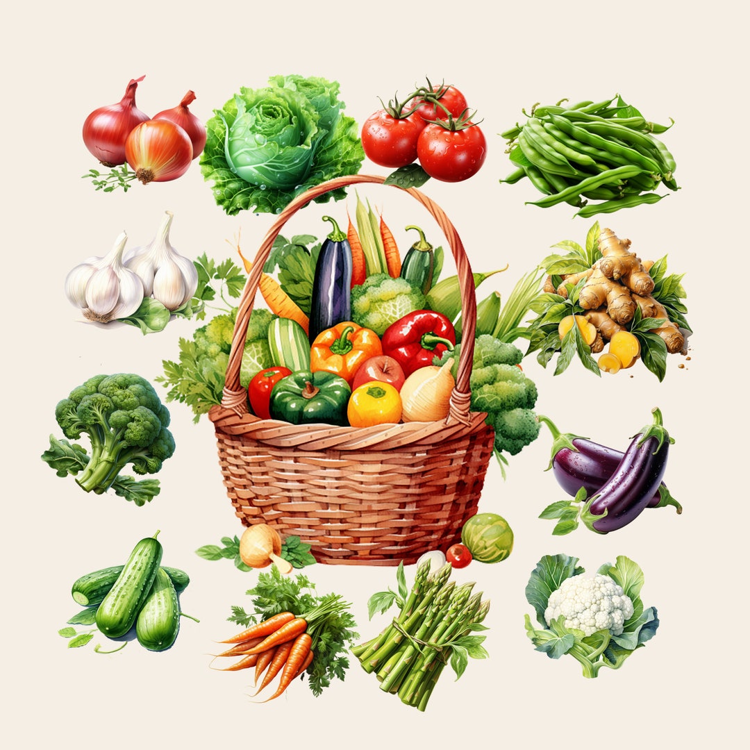 Watercolor Vegetable Clipart Set - Etsy