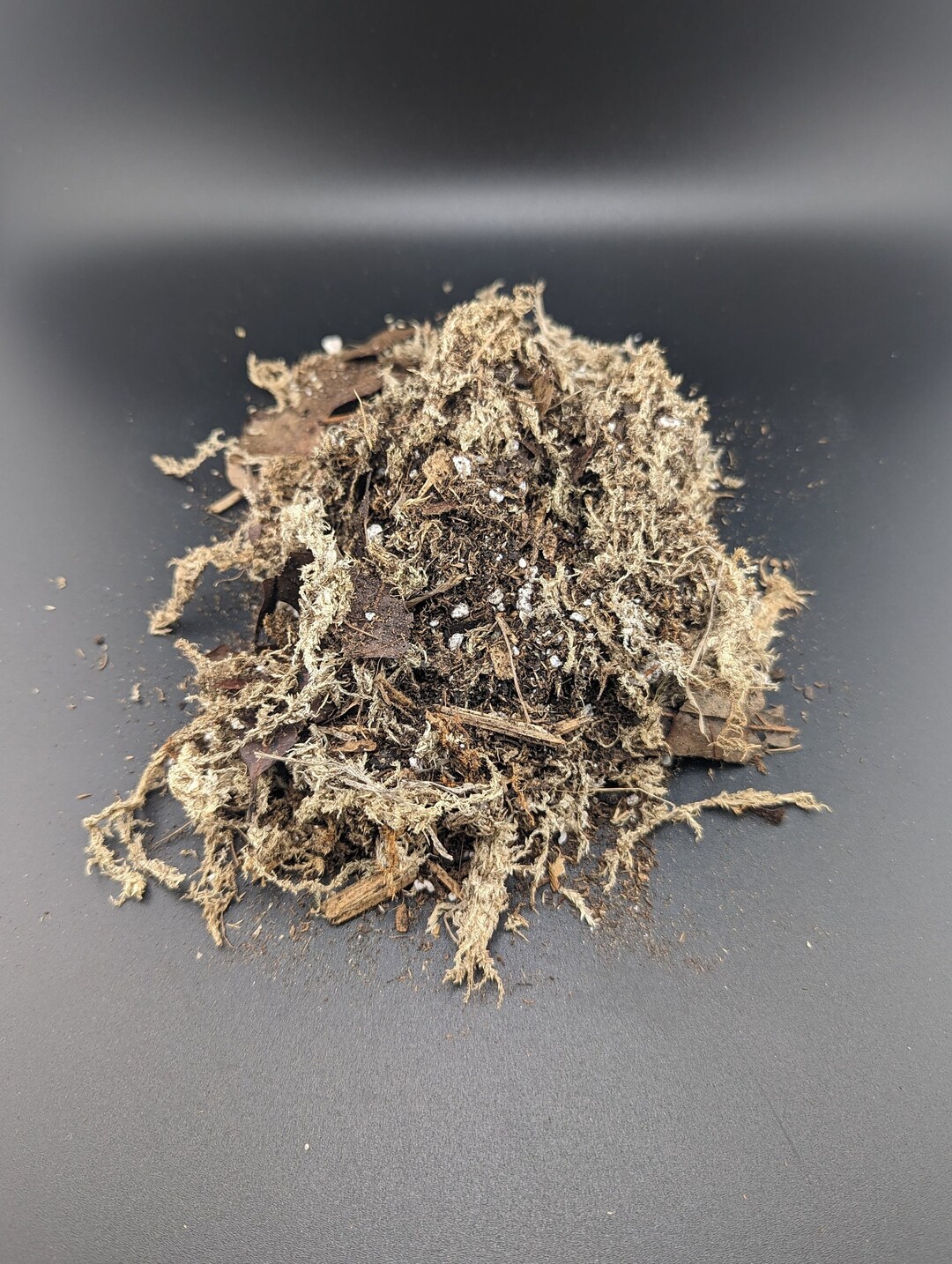 Shady Exotics Isopod Substrate - Etsy