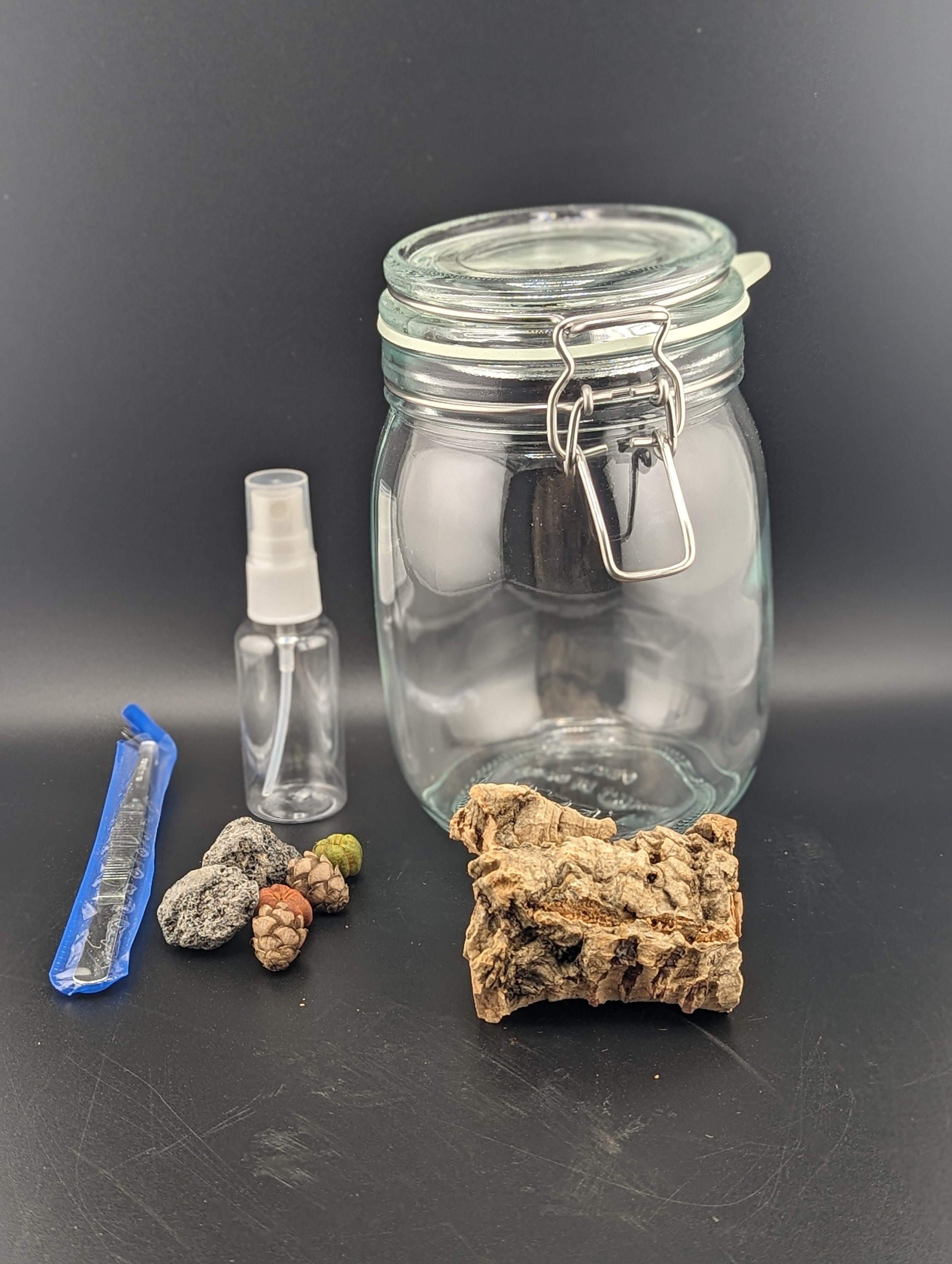 Large DIY Terrarium Kit - Etsy