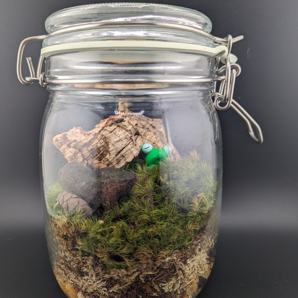 Terrarium Kit - Etsy