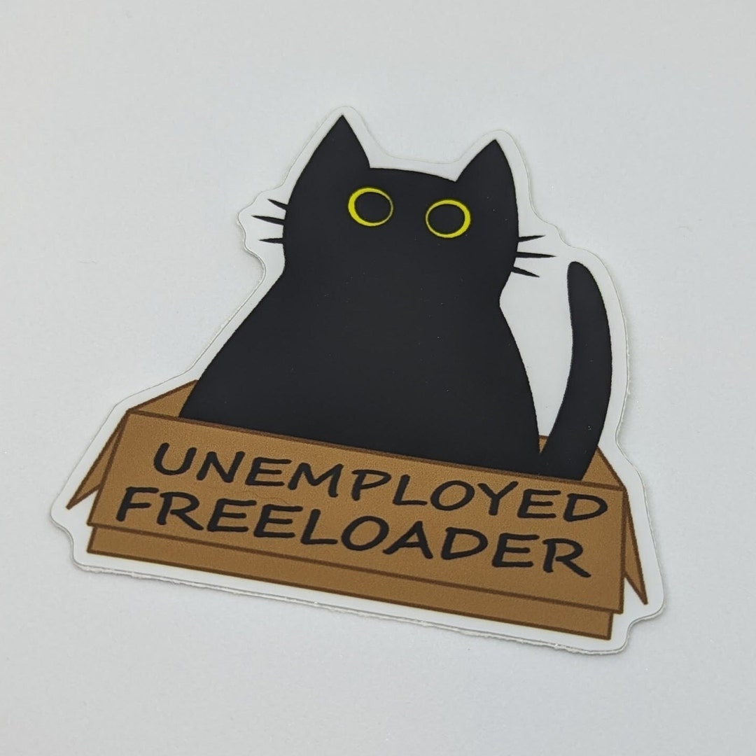 Unemployed Freeloader Cat in Cardboard Box Vinyl Sticker Black Cat ...