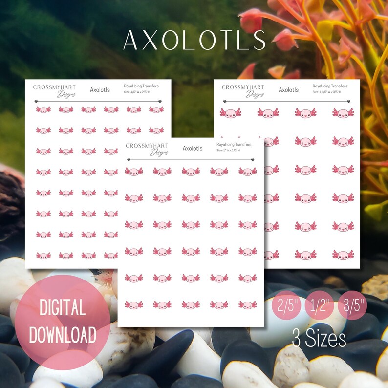 Axolotls Royal Icing Transfer Sheet Axolotl Faces Royal Icing Transfers ...