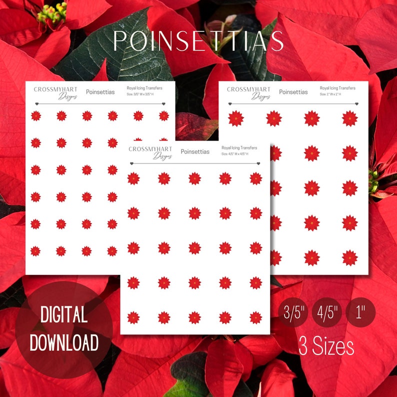 Poinsettias Royal Icing Transfer Sheet Christmas Flower Royal Icing ...