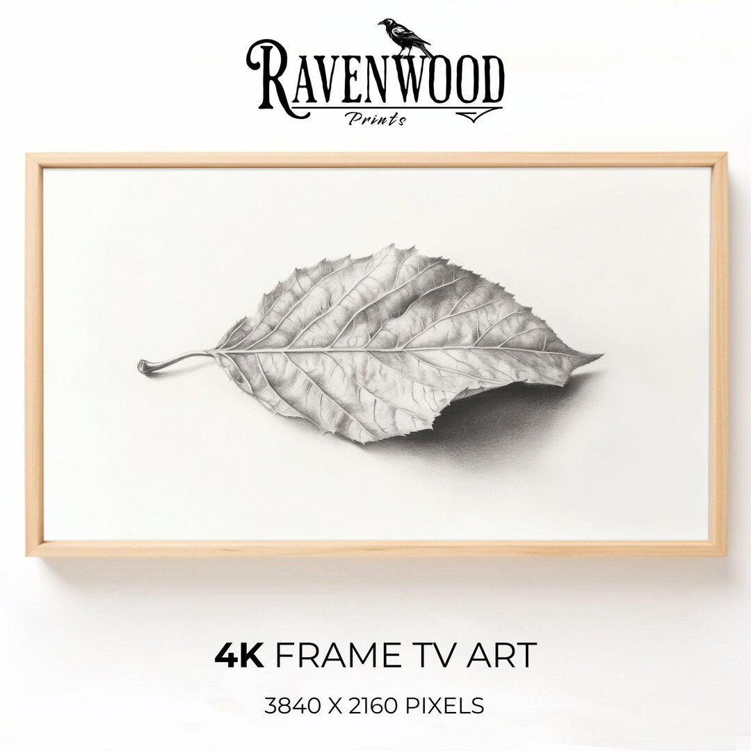 Elegant Leaf Drawing Digital Wall Art, Modern Home Decor Black and ...