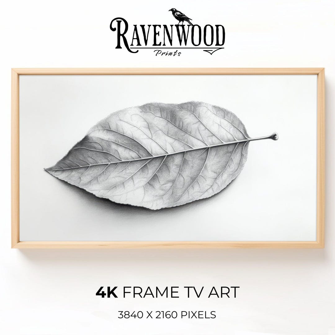 Black and White Leaf Digital Art, Monochrome Leaf Drawing, Instant ...