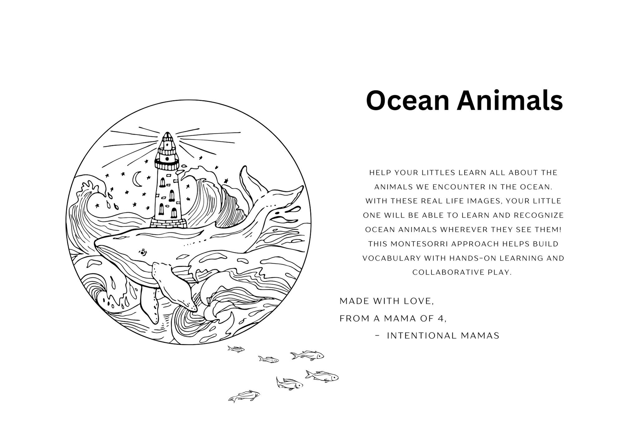 Kids Educational Flash Cards: Ocean Animals - Etsy
