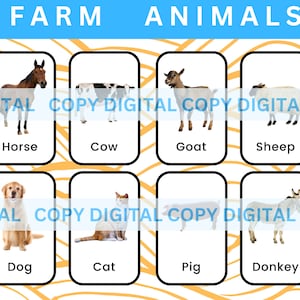 Kids Educational Flashcards: Farm Animals - Etsy