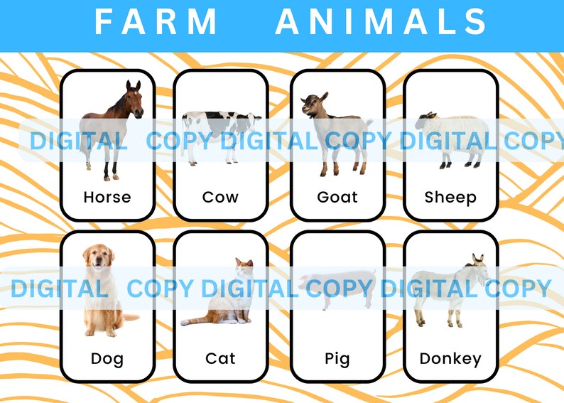 Kids Educational Flashcards: Farm Animals - Etsy