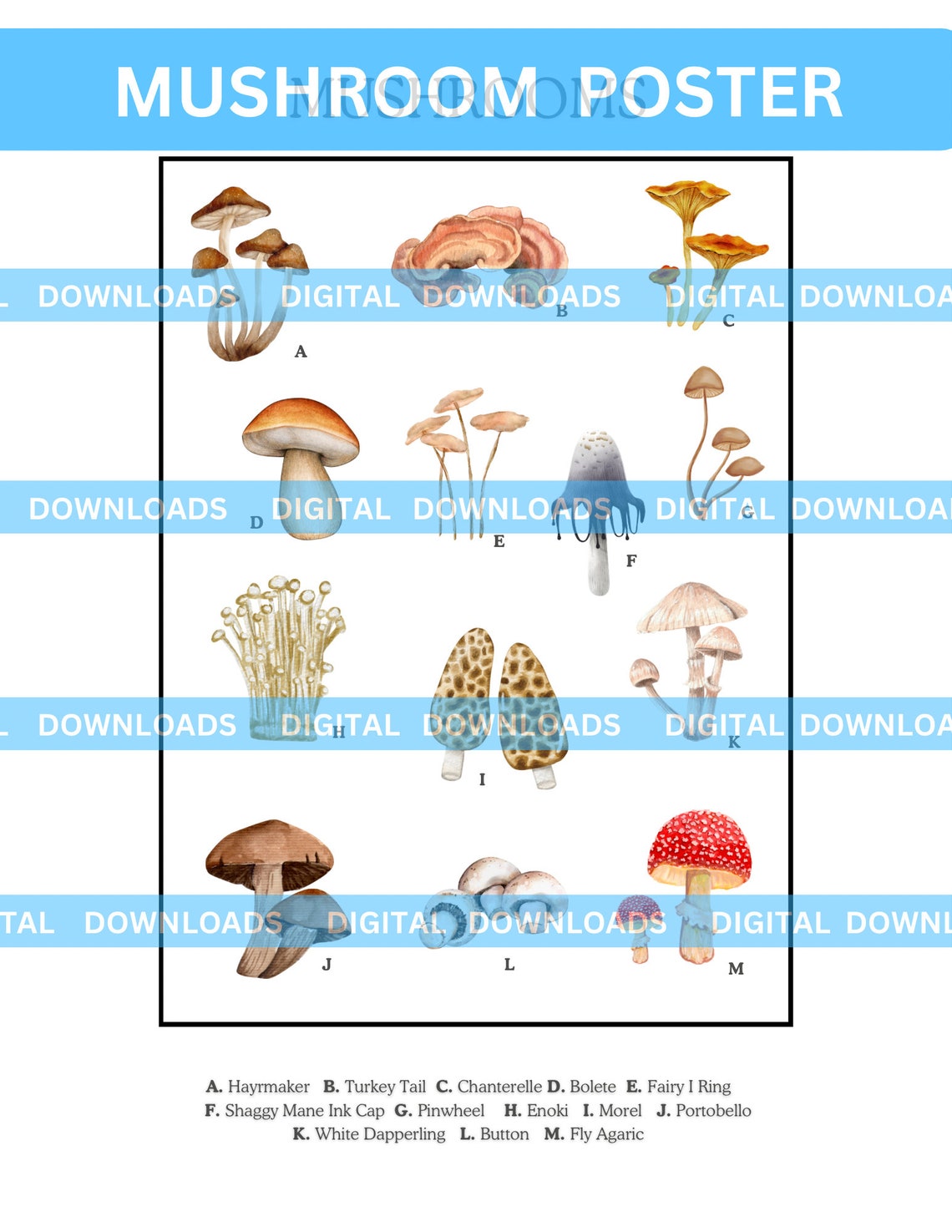 Watercolor Mushroom Poster - Etsy