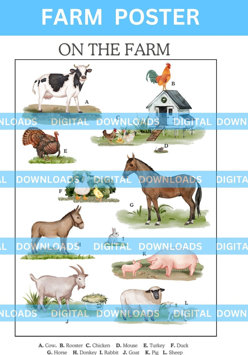 Farm Animals Poster - Etsy