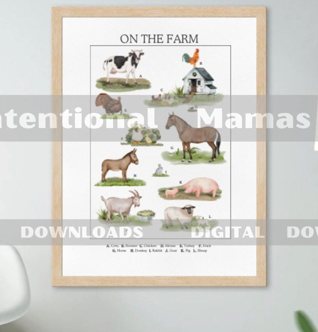Farm Animals Poster - Etsy