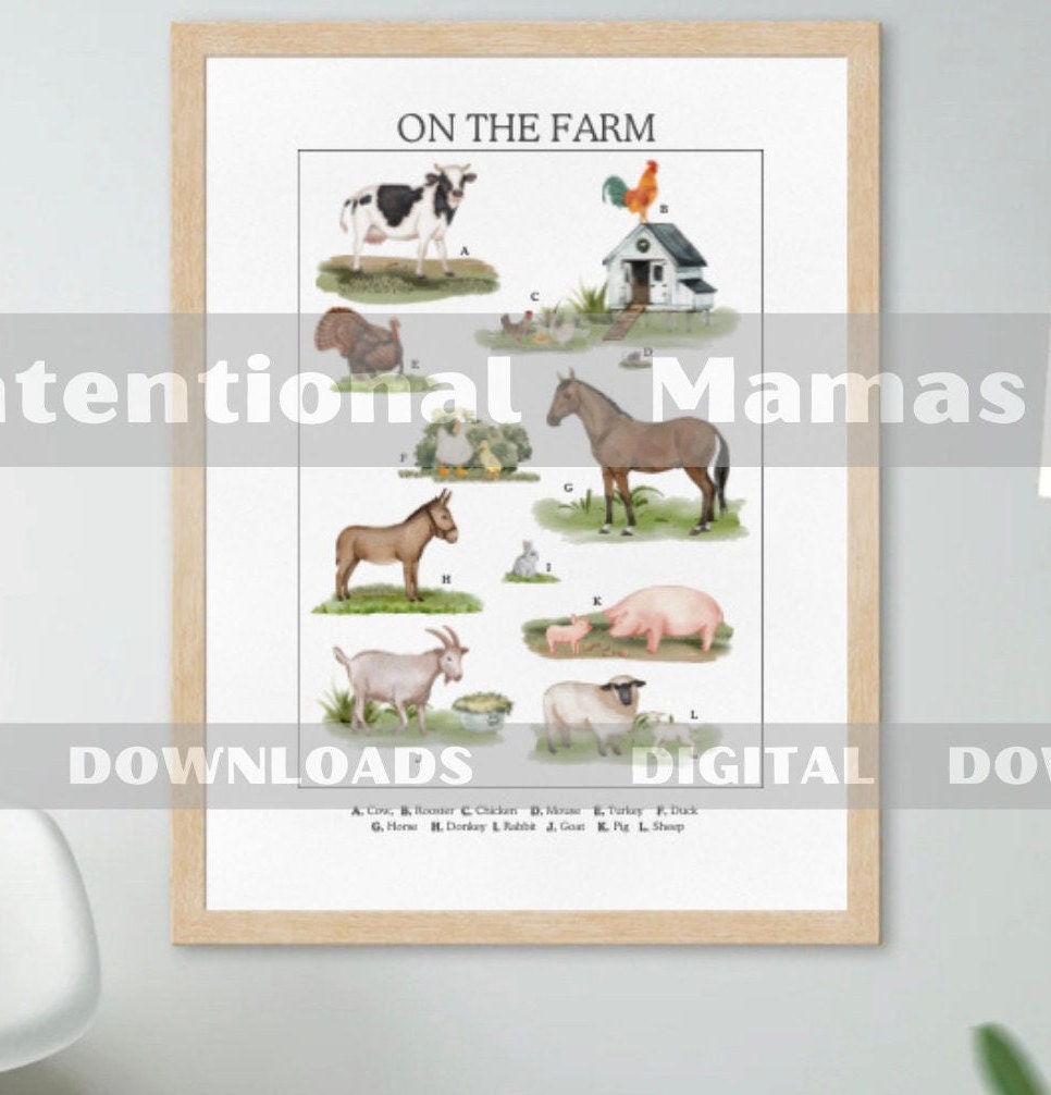 Farm Animals Poster - Etsy