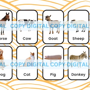Kids Educational Flashcards: Farm Animals - Etsy