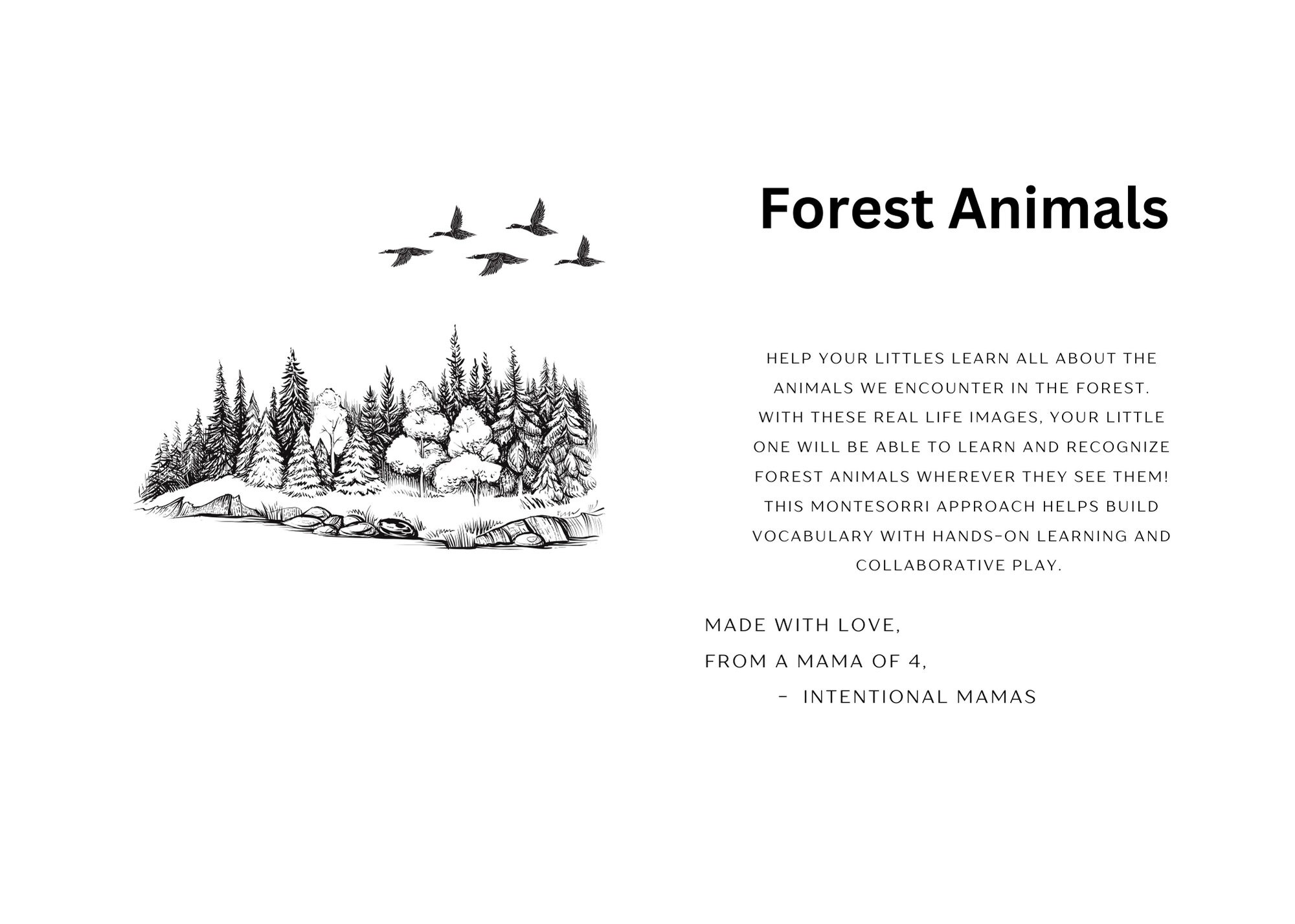 Kids Educational Flashcards: Forest Animals - Etsy