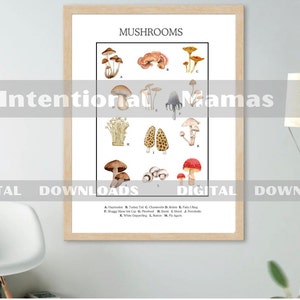 Watercolor Mushroom Poster - Etsy