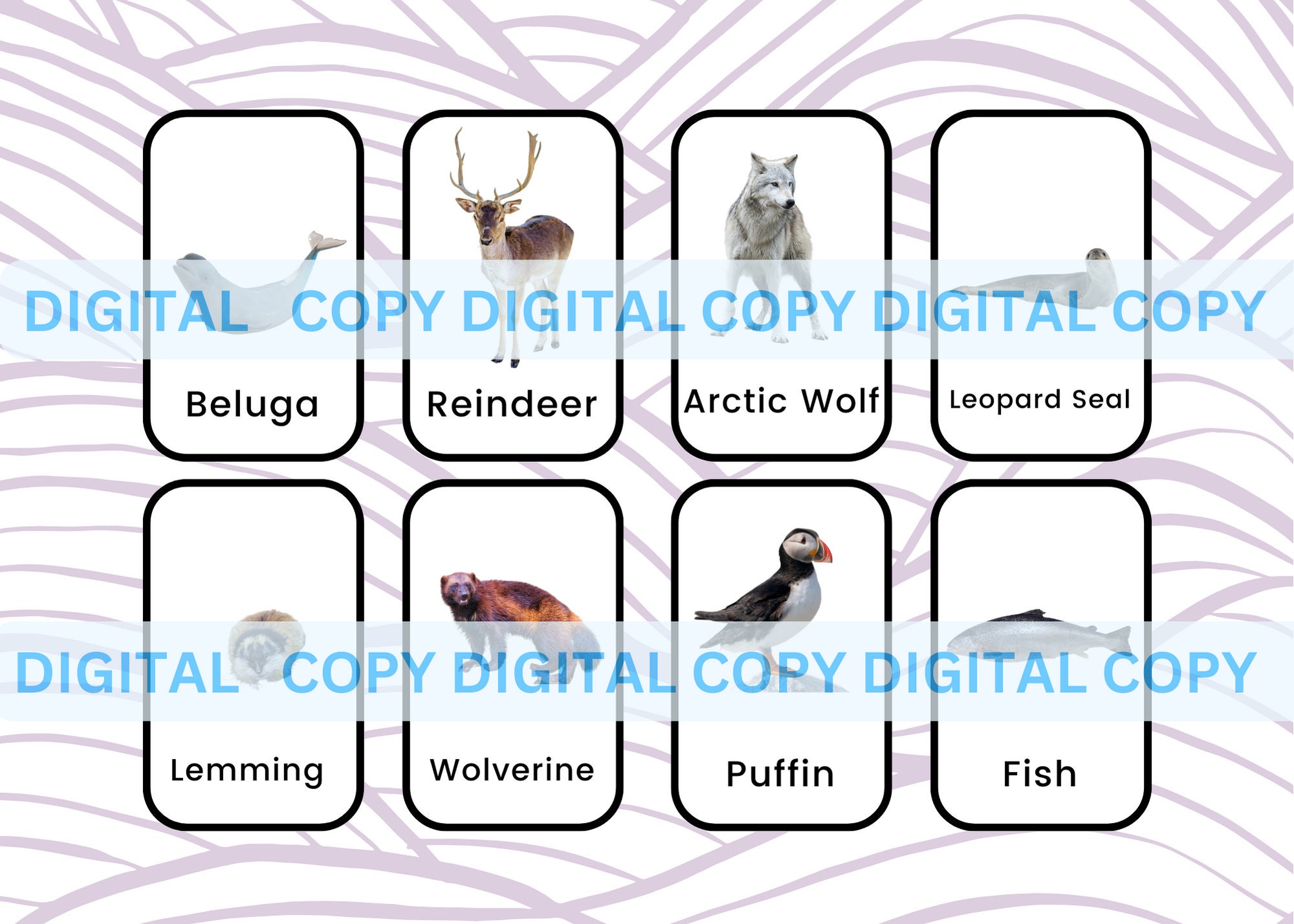 Kids Educational Flashcards Arctic Animals - Etsy