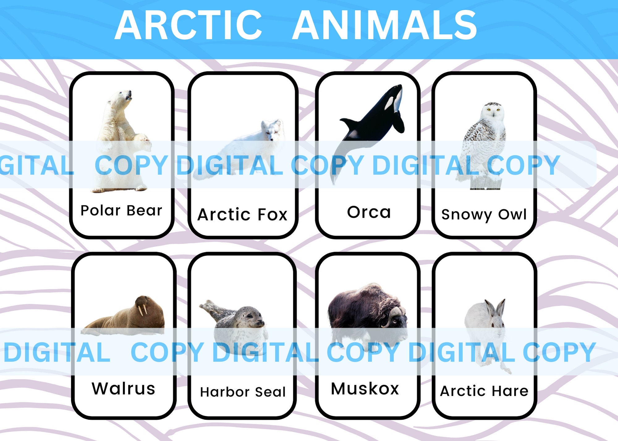 Kids Educational Flashcards Arctic Animals - Etsy