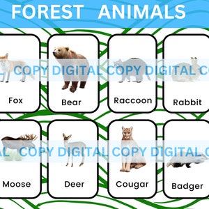 Kids Educational Flashcards: Forest Animals - Etsy