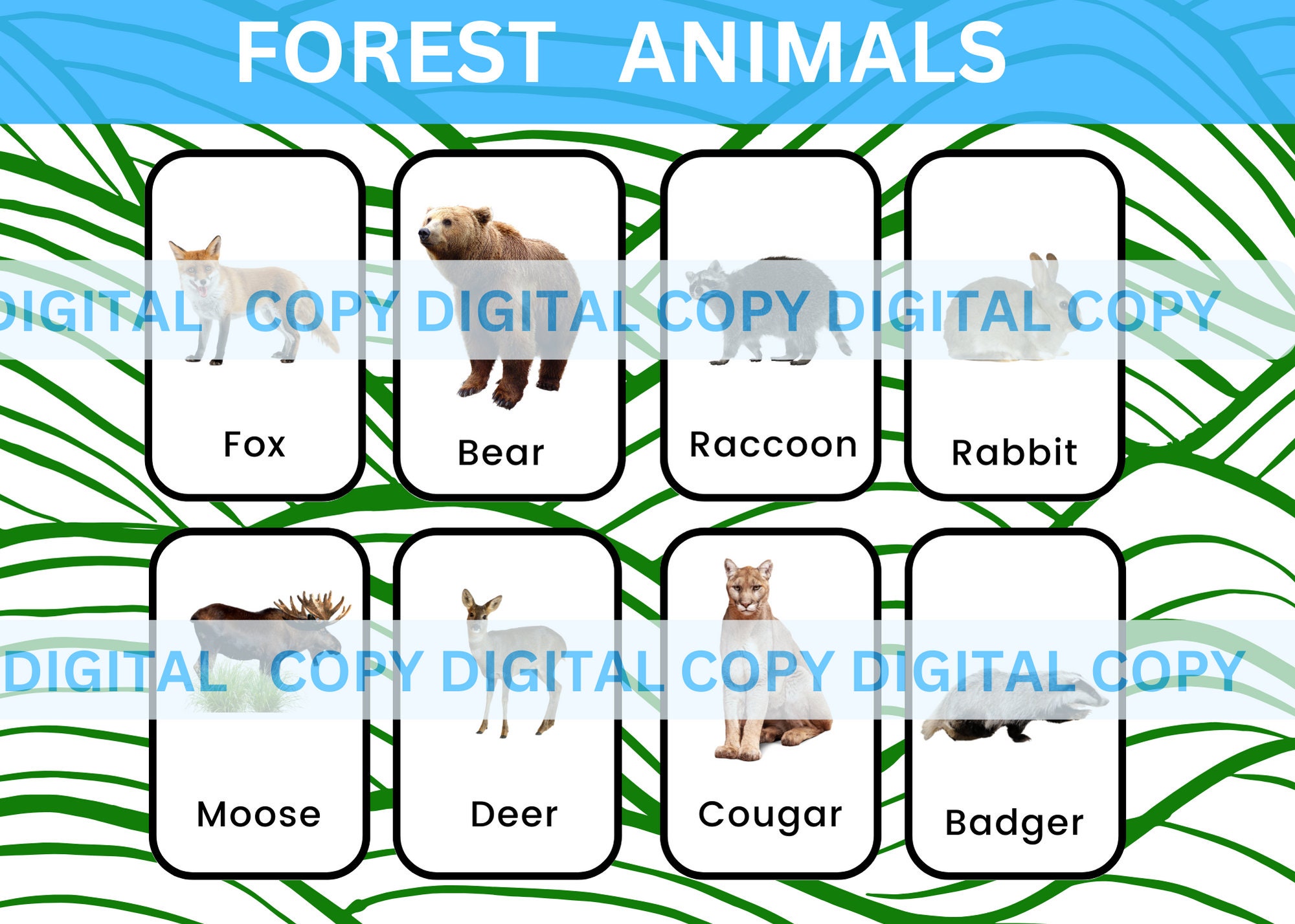 Kids Educational Flashcards: Forest Animals - Etsy