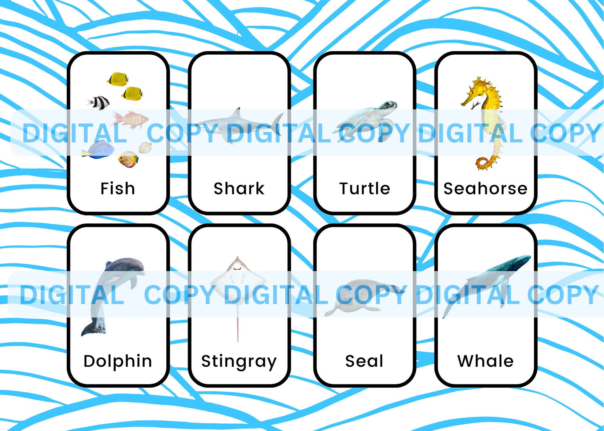 Kids Educational Flash Cards: Ocean Animals - Etsy
