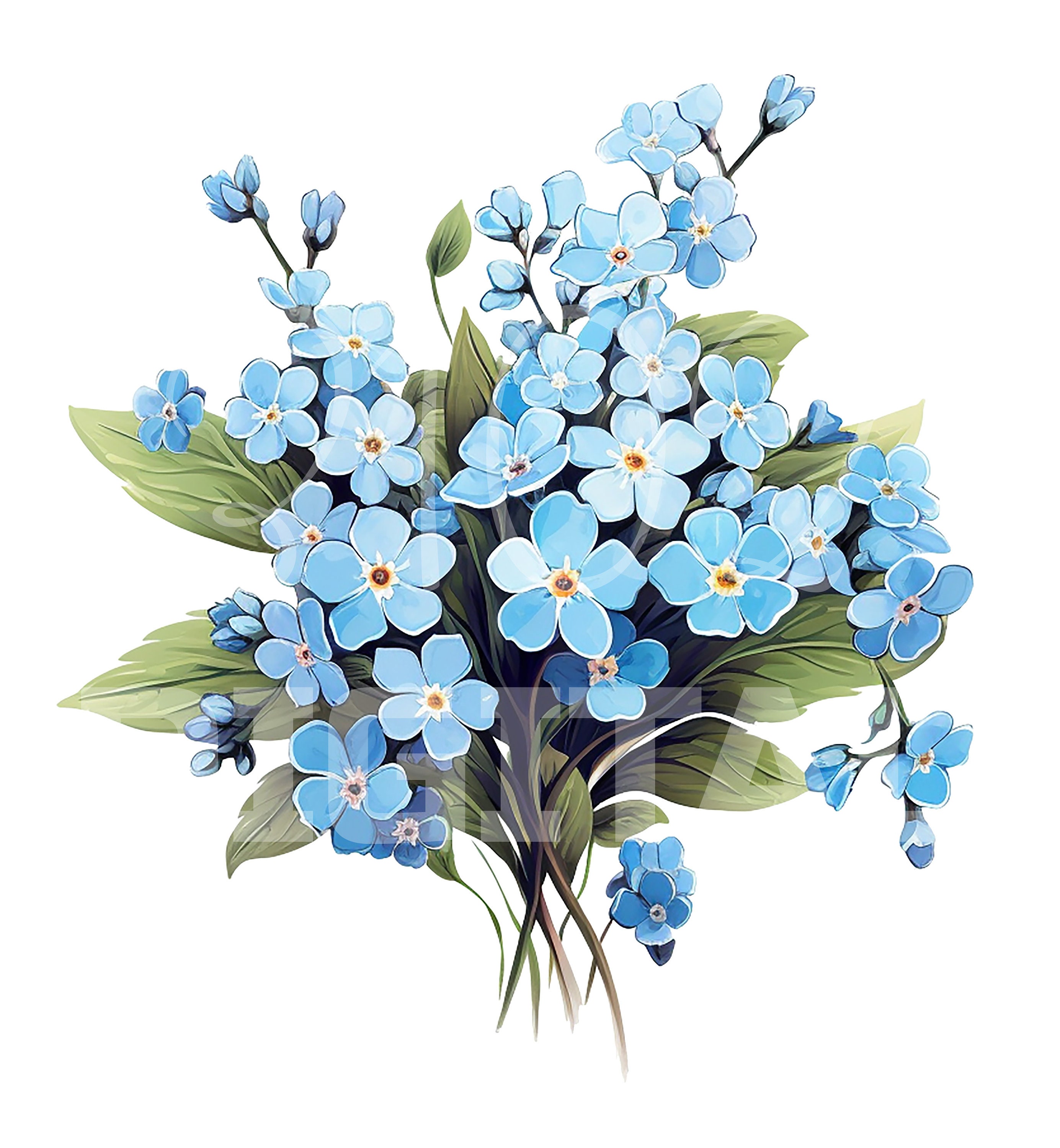 Forget-me-not Bundle of 6 PNG Floral Clipart of Blue Flower Bouquet ...