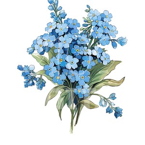 Forget-me-not Bundle of 6 PNG Floral Clipart of Blue Flower Bouquet ...