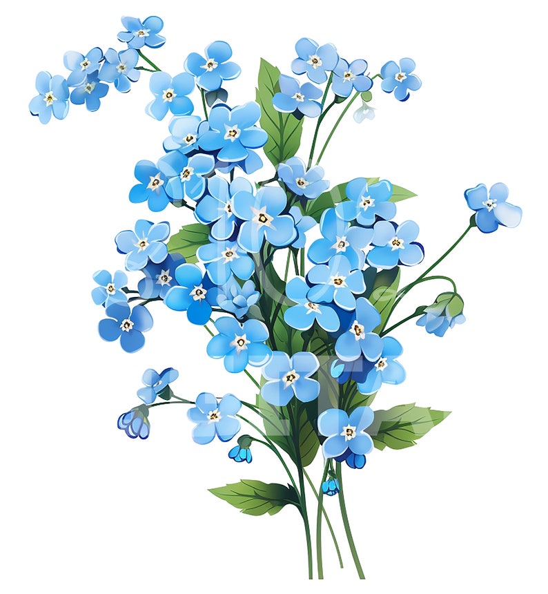Forget-me-not Bundle of 6 PNG Floral Clipart of Blue Flower Bouquet ...