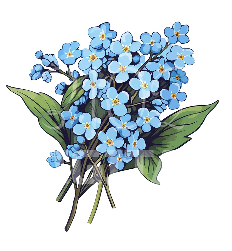 Forget-me-not Bundle of 6 PNG Floral Clipart of Blue Flower Bouquet ...