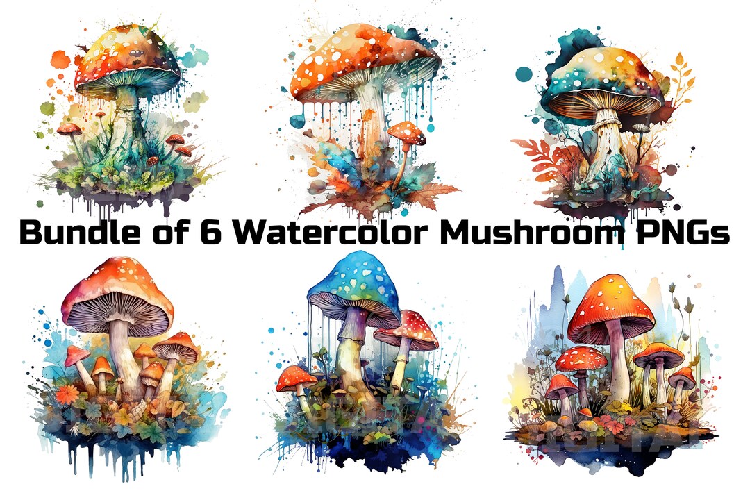 Bundle of 6 Watercolor Mushroom Pngs Digital File Clip Art Water Color ...