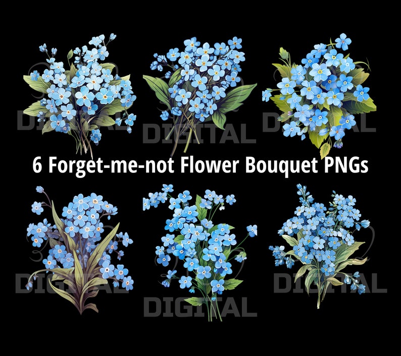 Forget-me-not Bundle of 6 PNG Floral Clipart of Blue Flower Bouquet ...