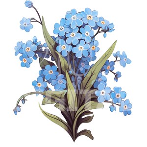 Forget-me-not Bundle of 6 PNG Floral Clipart of Blue Flower Bouquet ...